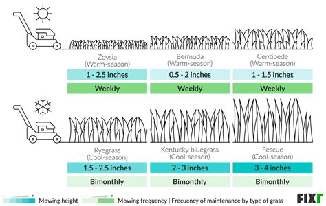 Yard Care Chart