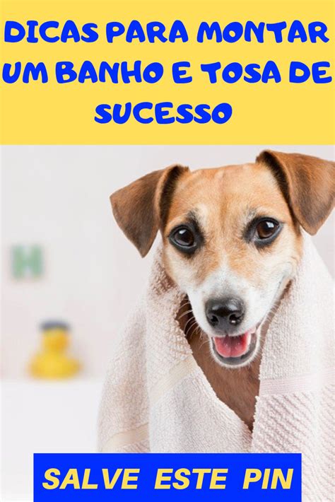 Estratégias para montar um banho e tosa de sucesso Banho e tosa