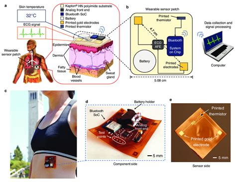 proposed overview and system design of the wearable sensor patch wsp download scientific