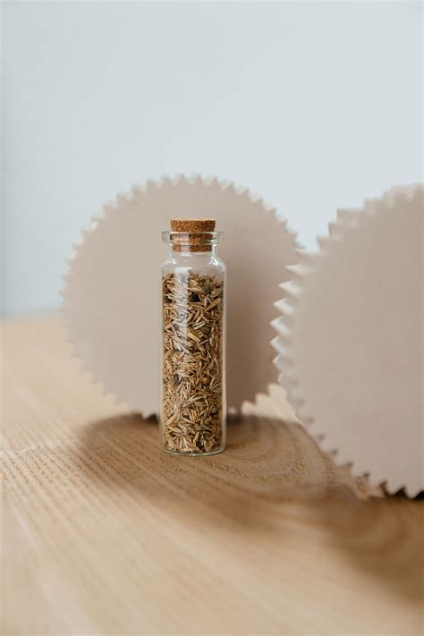 Fiole de graine à semer Cadeaux invités Studio graine de joie