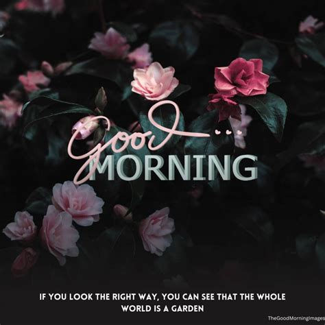 Stunning Compilation Over 999 Beautiful Good Morning Images With