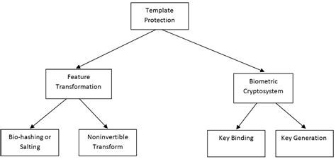 biometric template systems components and security