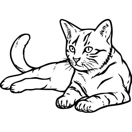 Ausmalbild Vorlage Katze Malvorlage Blog