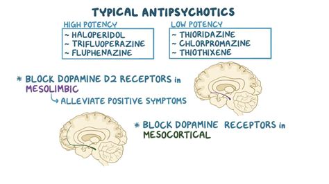 Typical Antipsychotics Video Anatomy Definition Osmosis