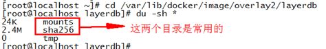 docker存储目录详解 docker 目录 csdn博客