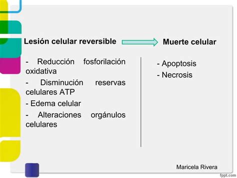 Aspectos generales de lesión y muerte celular eq 1 PPT