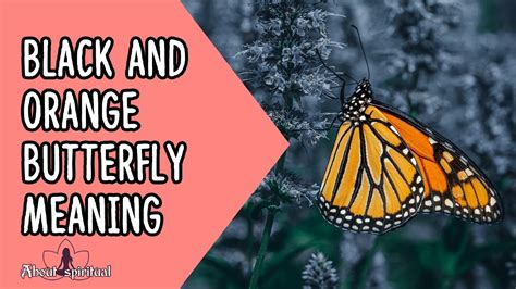 Black And Orange Butterfly Meaning Youtube