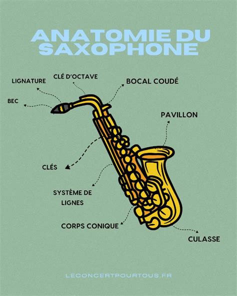 Saxophone Pour D Butants Le Guide Complet