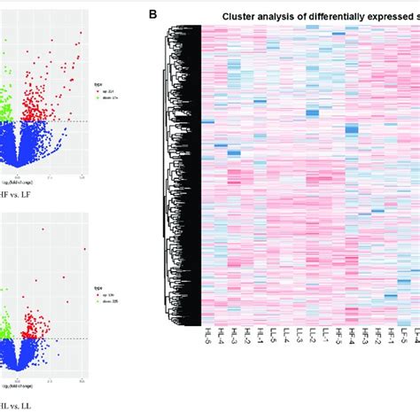 Overview Of Differentially Expressed Circular RNAs DE CircRNAs A