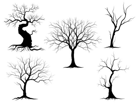 Arbre De Branche Noire Ou Ensemble De Silhouettes D Arbres Nus