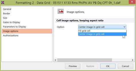 Image Options 图片选项