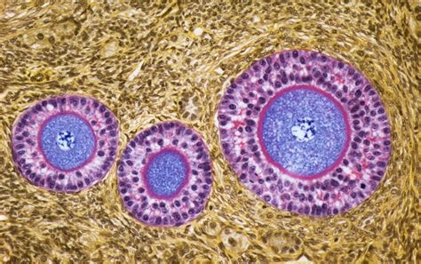 Les découvertes scientifiques qui ont marqué 2019
