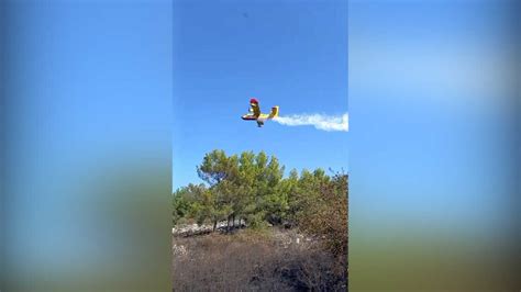 Fiamme Nella Murgia Tra Andria E Minervino Bruciati Ettari Di