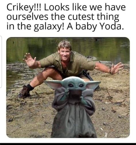 Pin By Evelia Muniz On Funny Yoda Meme Star Wars Memes Yoda