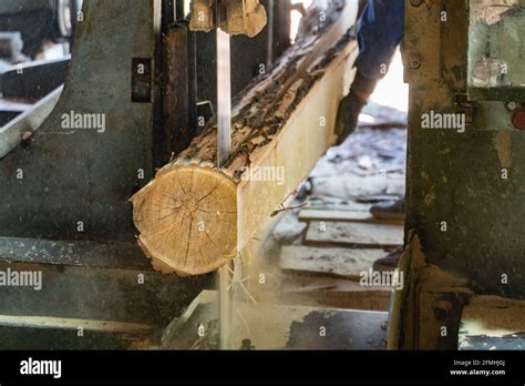 Aserradero Proceso De Corte De Madera De Madera Tablones De Madera Y