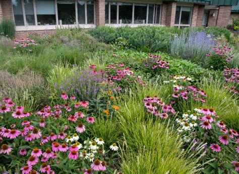 Piet Oudolf The Work Of Dutch Planting Designer Piet 60 OFF