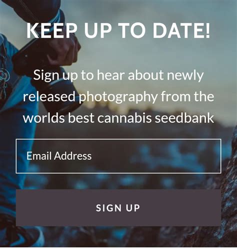 Is Copycat Genetics Legit Honest Review Neuralpaws