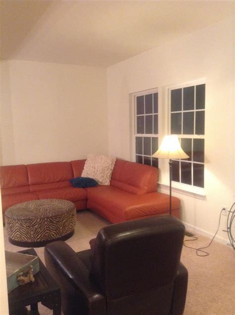 What Colour Goes With Burnt Orange Sofa Homeminimalisite