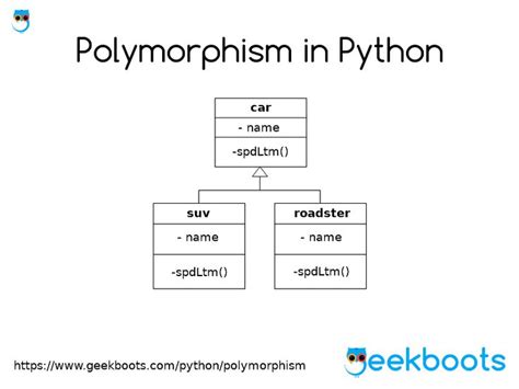 polymorphism in python python polymorphism python learn
