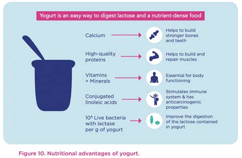 Los Beneficios Del Yogur Para La Salud Yogurt In Nutrition