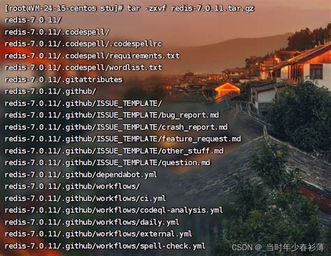 redis在linux下安装