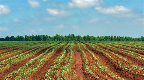 Técnicas de conservación del suelo agrícola Grupo SPAG