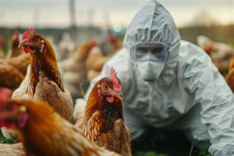 México Secretaría de Salud dice que no existe riesgo de contagio