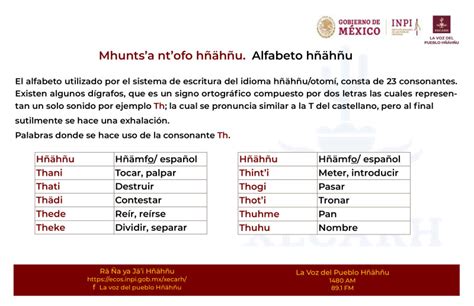 Infografías Lecciones para aprender la lengua hñähñu otomí del Valle