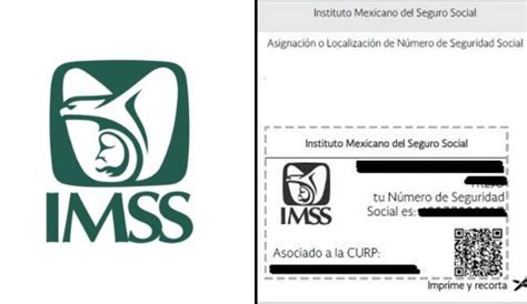 Nss C Mo Obtener Tu N Mero De Seguro Social Te Explicamos Paso A