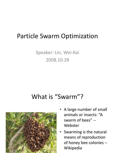 particle swarm optimization pdf