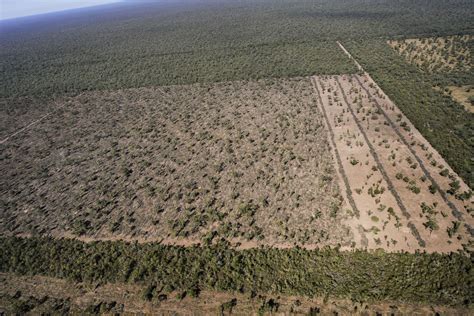 Fundación Greenpeace Argentina Integrantes del Conicet y