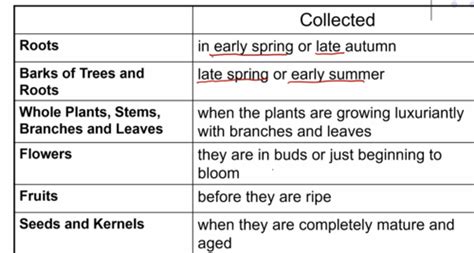 Herbs Flashcards Quizlet