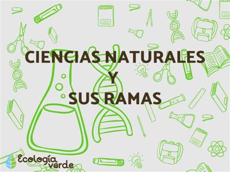 Qu Son Las Ciencias Naturales Y Sus Ramas