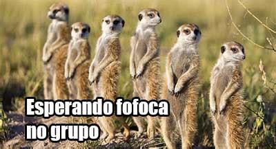 Fofoca No Grupo Status E Imagens