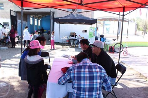 Bolet N Estudiantes Uaeh Apoyan Con Jornadas M Dicas Y Veterinarias