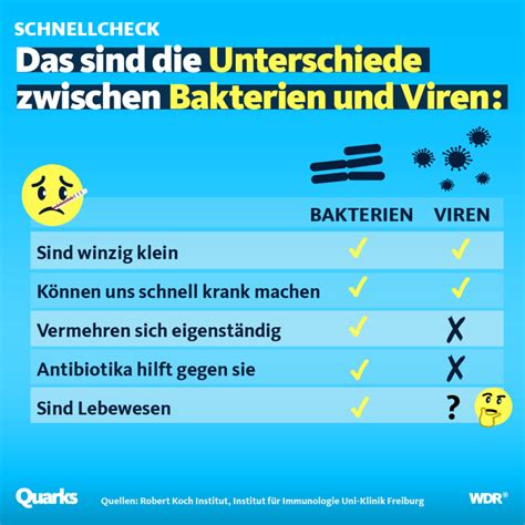 Der Unterschied Zwischen Bakterien Und Viren Quarks De