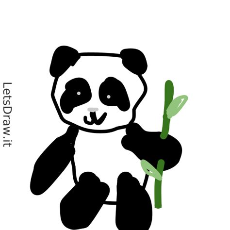 How To Draw Panda Niyy8apcr Png LetsDrawIt