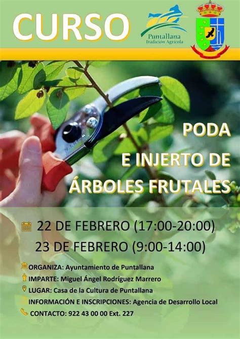 Poda e injerto de árboles frutales Canal Agrario La Palma