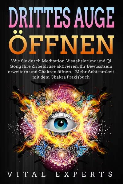 DRITTES AUGE ÖFFNEN Wie Sie durch Meditation Visualisierung und Qi