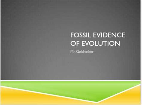 Fossil Evidence Of Evolution