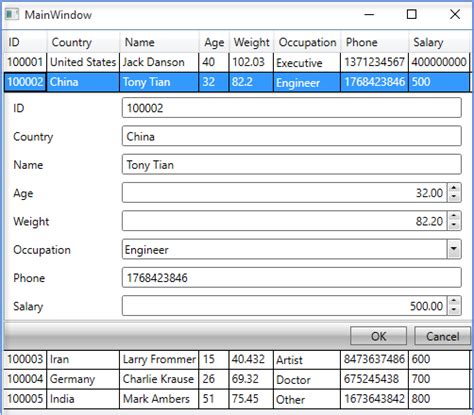 Integration With DataGrid ComponentOne InputPanel For WPF