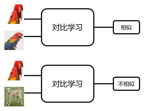 simclr 用对比学习生成图像表征 今日头条
