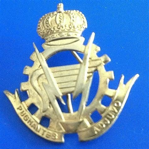 3516 INSIGNE MILITAIRE Belge PUGNANTES ADJUVO EUR 10 00 PicClick FR