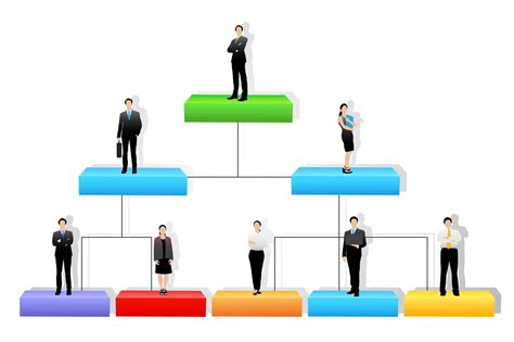 organizational structure types chart