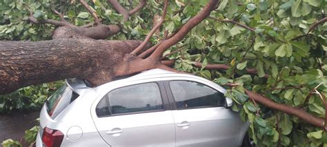 Rvore Cai Atinge Carro E Deixa Moradores Sem Energia Durante Temporal