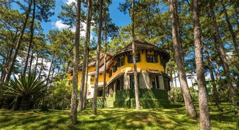 7 Homestay Đà Lạt Rừng Thông View Cực Mê Giá Sinh Viên