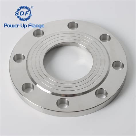 DIN2576 DN25 Pn10 Stainless Steel Flange Plrf Plff Plate Flange China