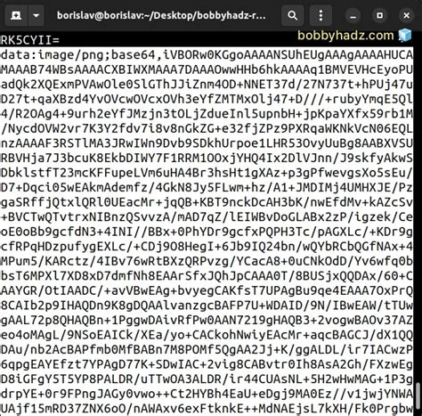 convert an image or an image url to base64 in node js bobbyhadz