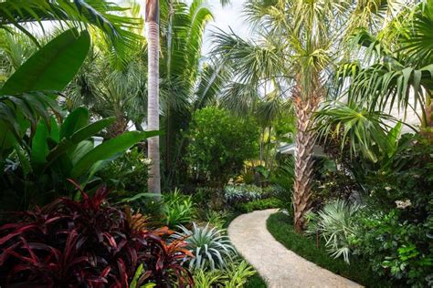Planting Compositions Craig Reynolds Landscape Architects Tropical