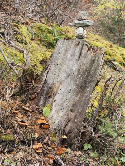 Fall In The Alps Equilibre Dans La Nature Fernande Vaudan Flickr